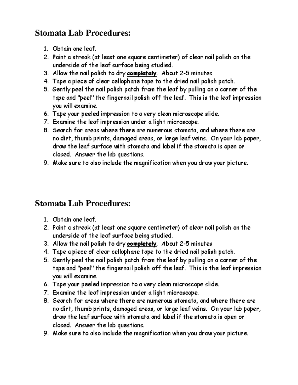 Stomata Lab Procedures: Observing Leaf Impressions and Gas Exchange ...