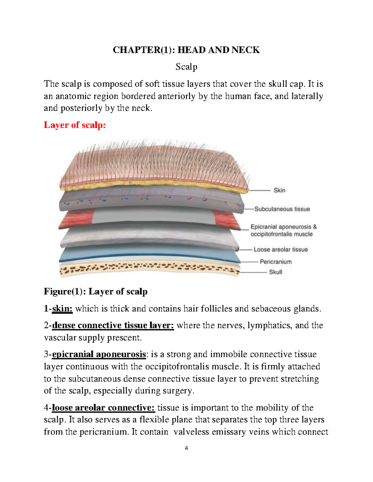 What Are The Layers Of Scalp