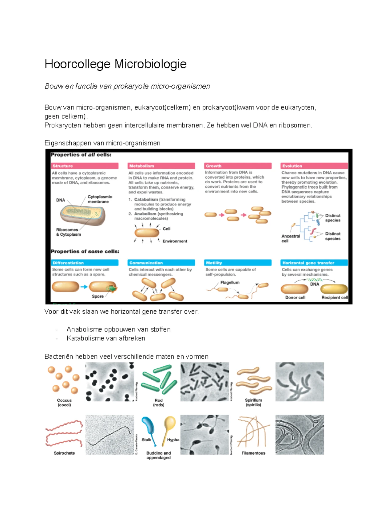 De kringloop van stikstof (stikstofcyclus). Stapsgewijs - De ...