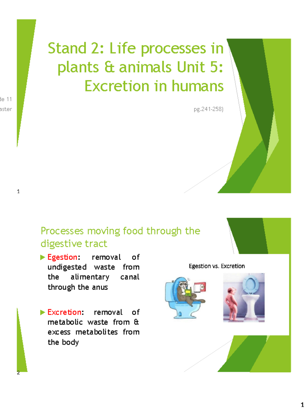 Excretion in Humans: Key Processes and Organs (Bio102 Lecture Notes ...
