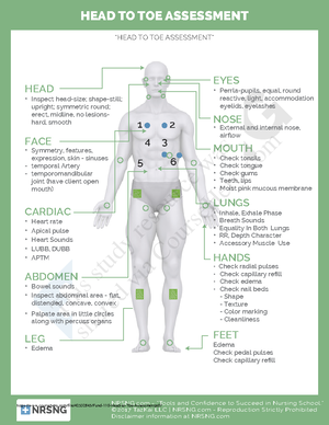 Common Drug Stems Cheat Sheet - Common Drug Name Stems Cheat Sheet ...
