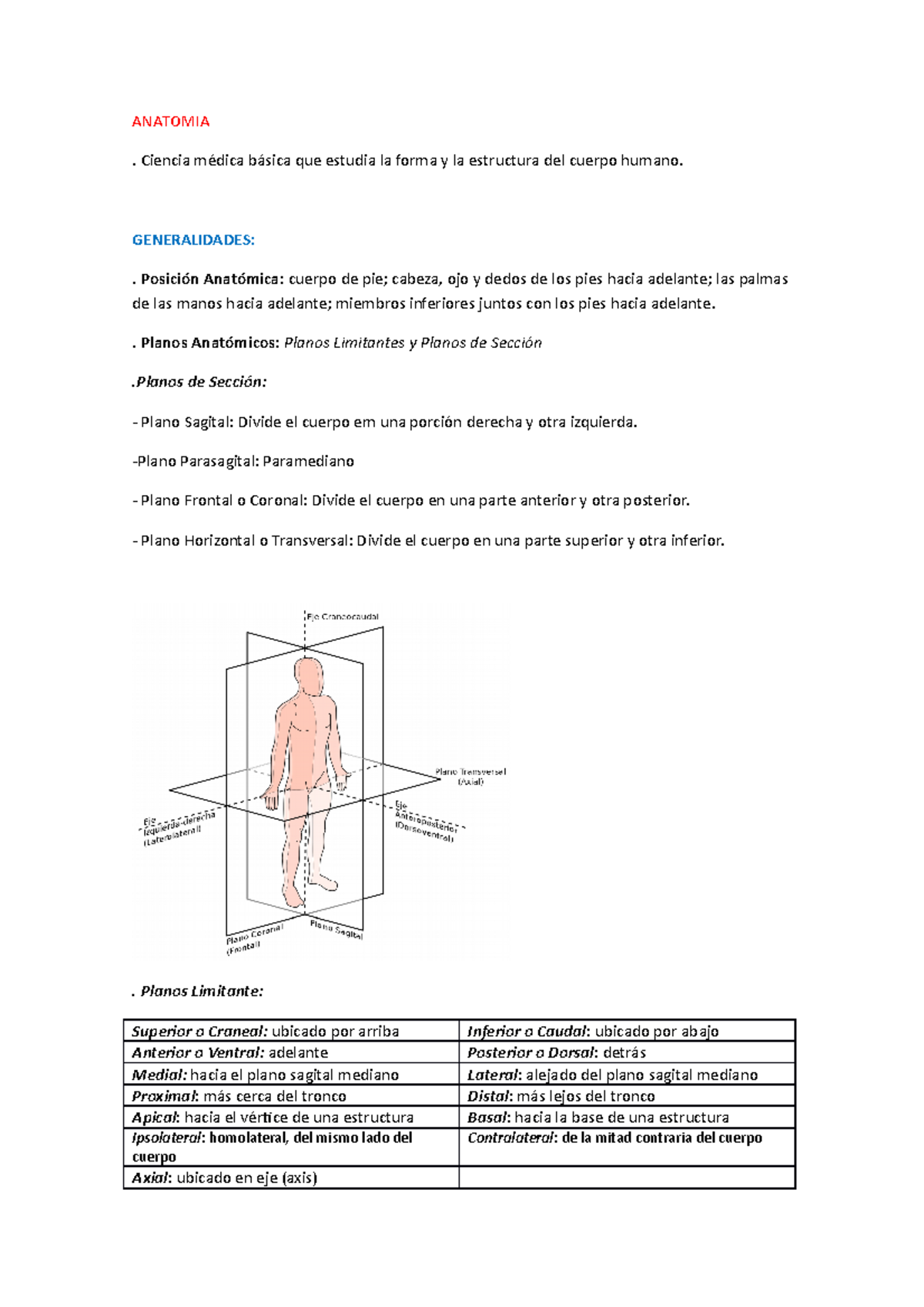 Anatomía del Miembro Superior - Apuntes y Generalidades Fundamentals ...