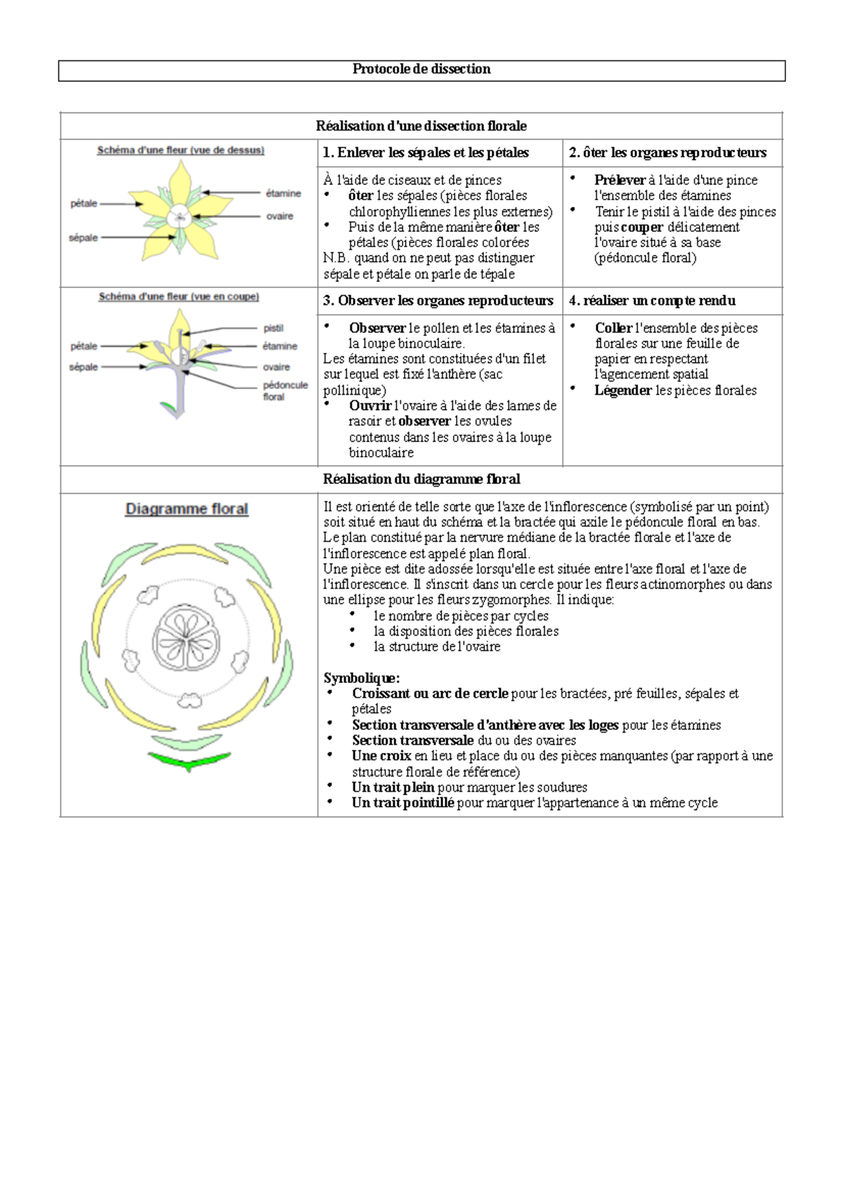 Protocole de dissection d'une fleur : Étapes détaillées et observations ...
