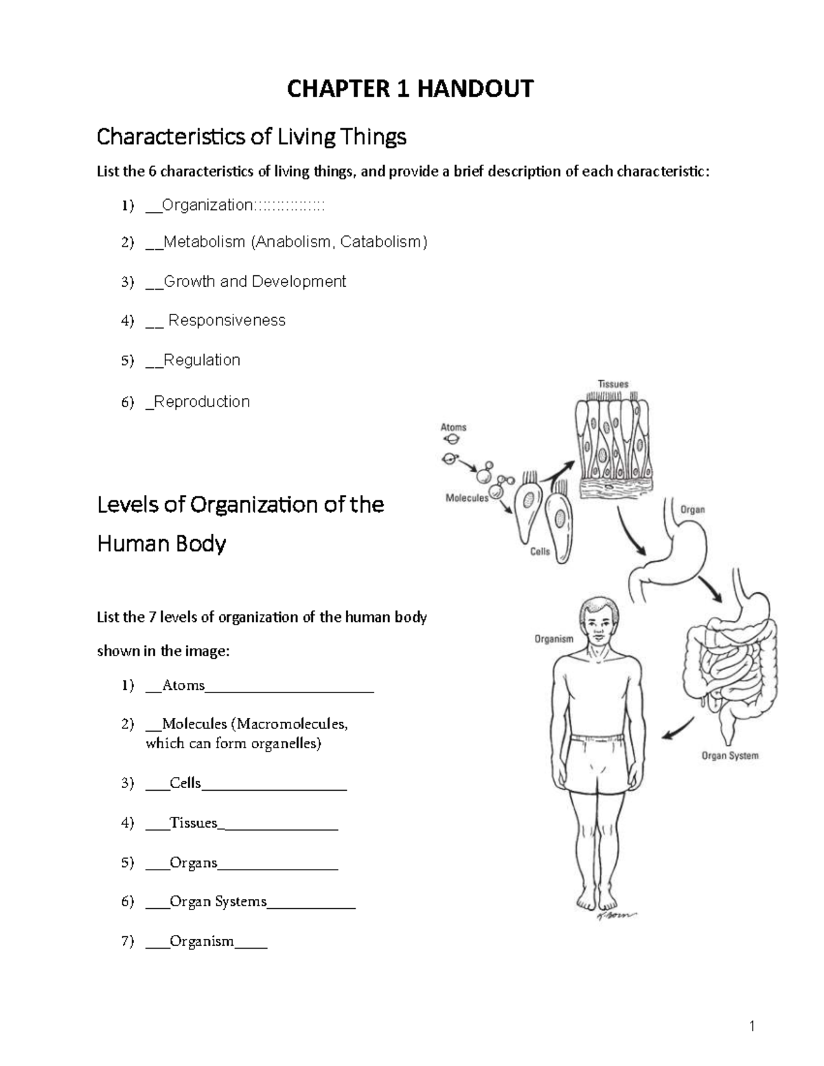 FA25 CH1 KEY: Characteristics of Living Things & Body Organization ...