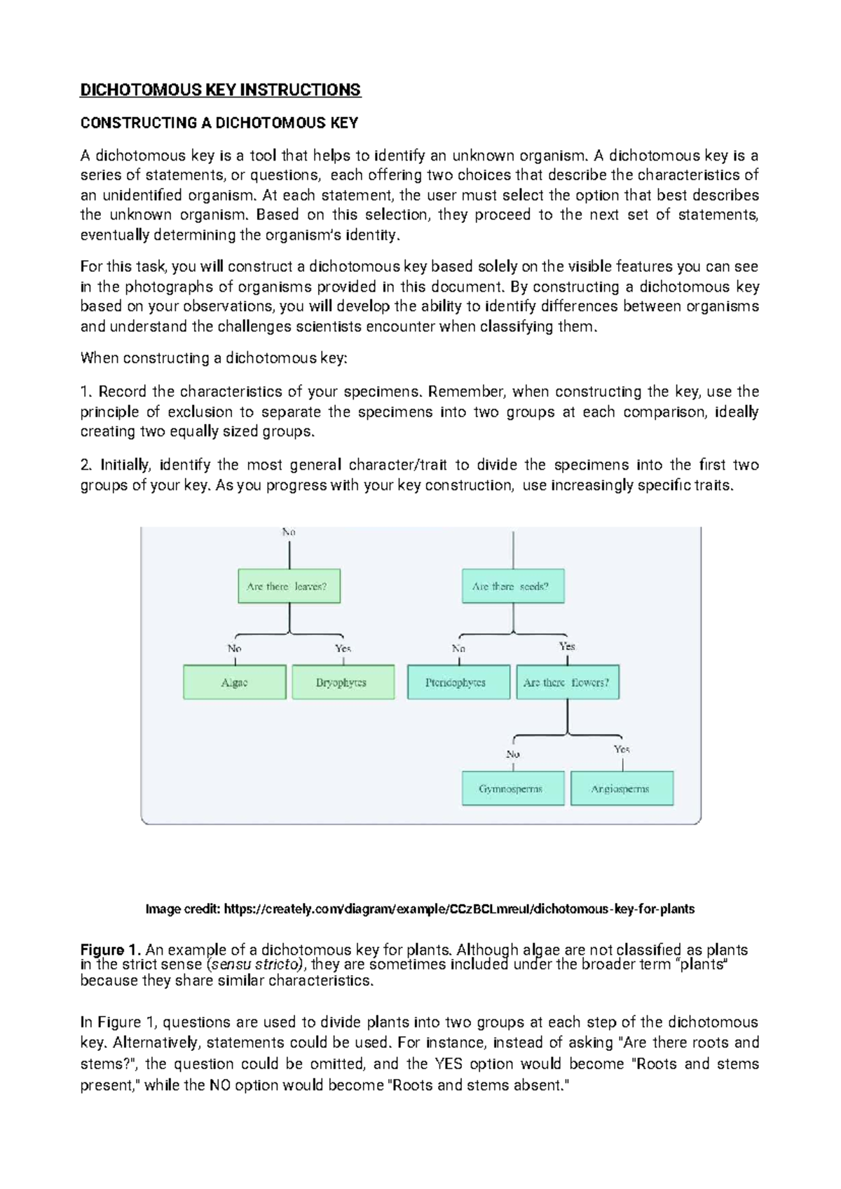 BIO 1011 Lab 2: Constructing a Dichotomous Key for Organisms - Studocu
