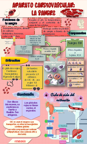 Score MAMA Y Claves Obstetricas - GUíA MSP - Score MAMÁ y claves ...