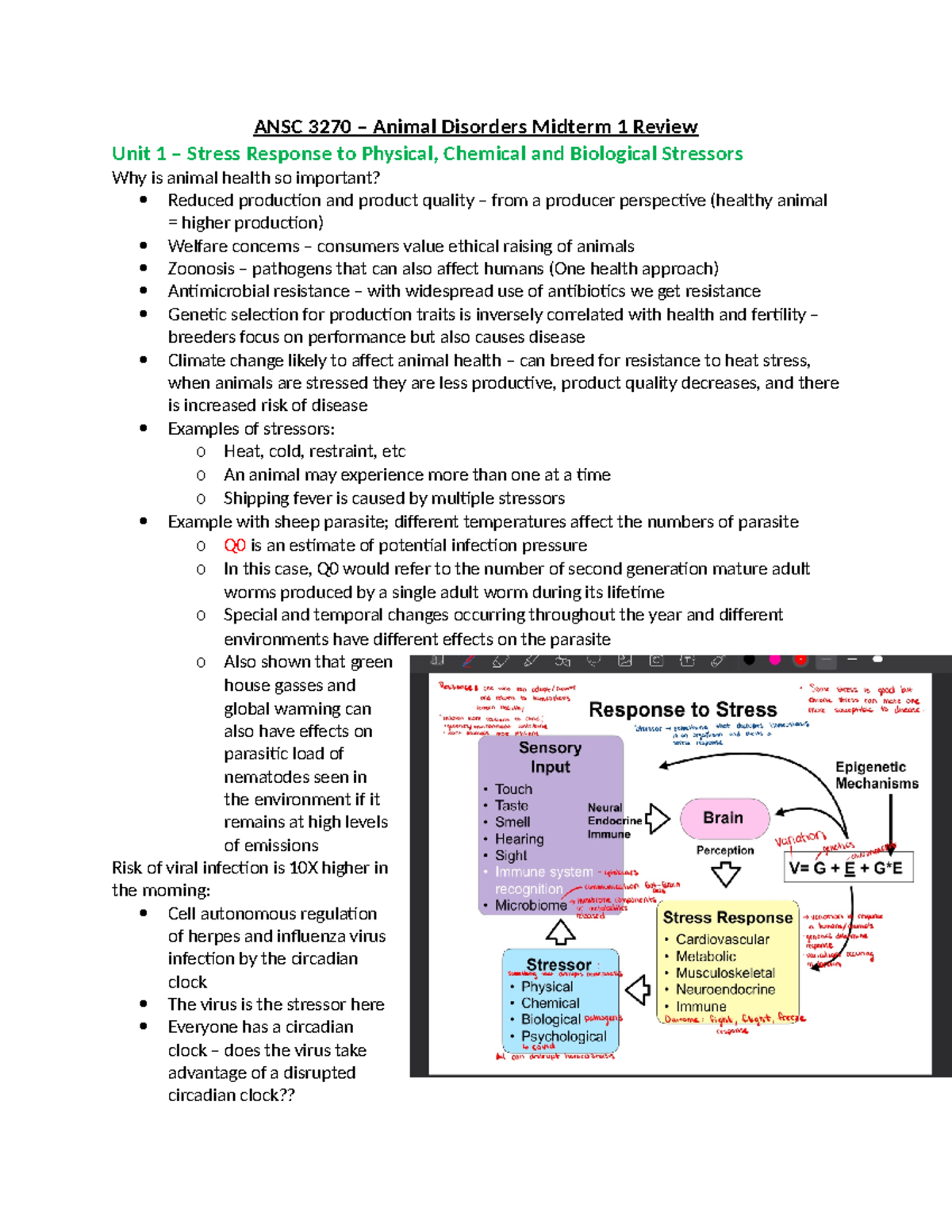 ANSC 3270 Midterm Review Notes on Animal Disorders and Stress - Studocu