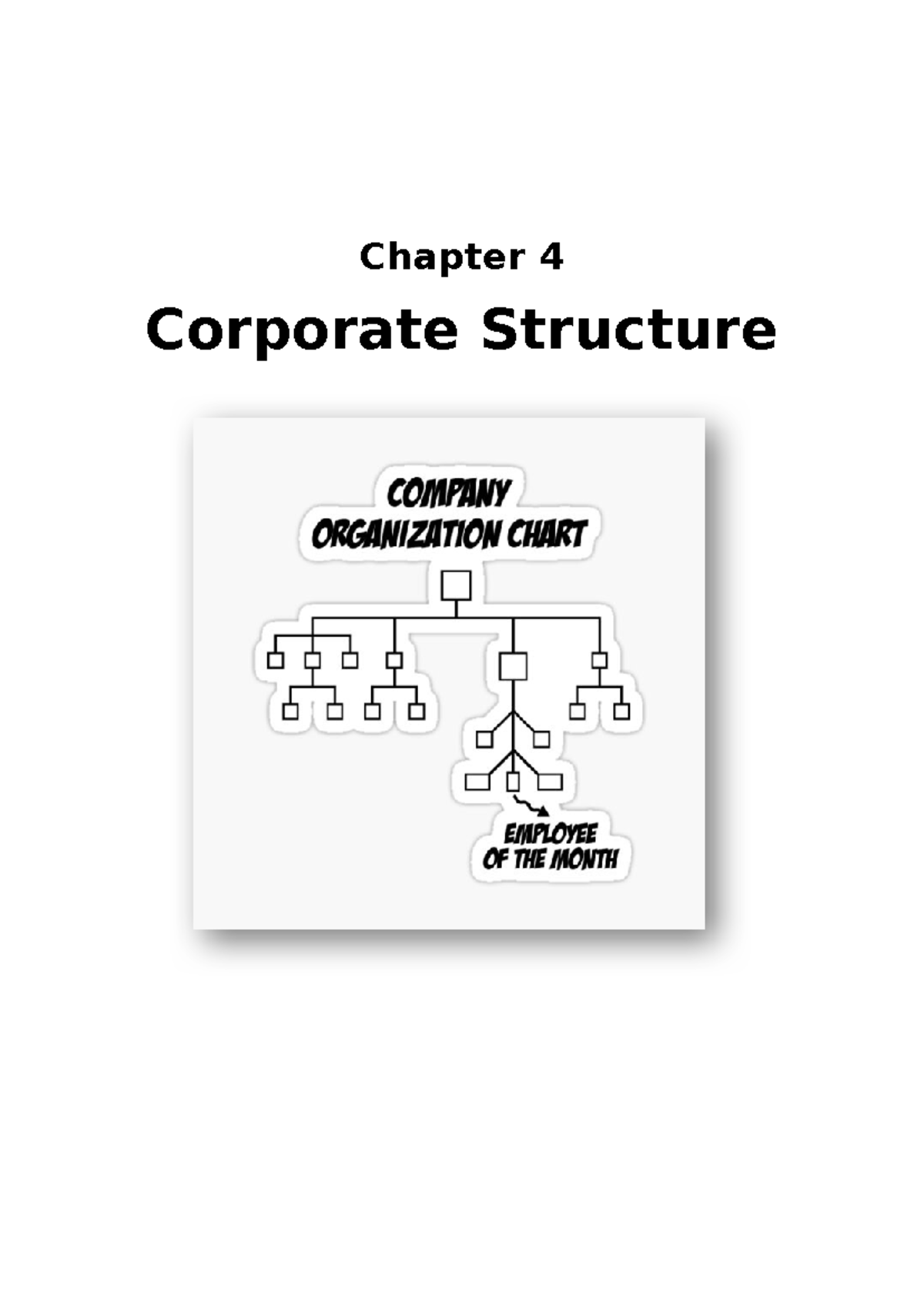 Chapter 4 - Corporate Structure Overview and Organization Charts - Studocu