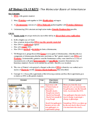 Ch 14 Gene to Protein KEY 2017 - Name: KEY Ch. 14: Gene Expression ...