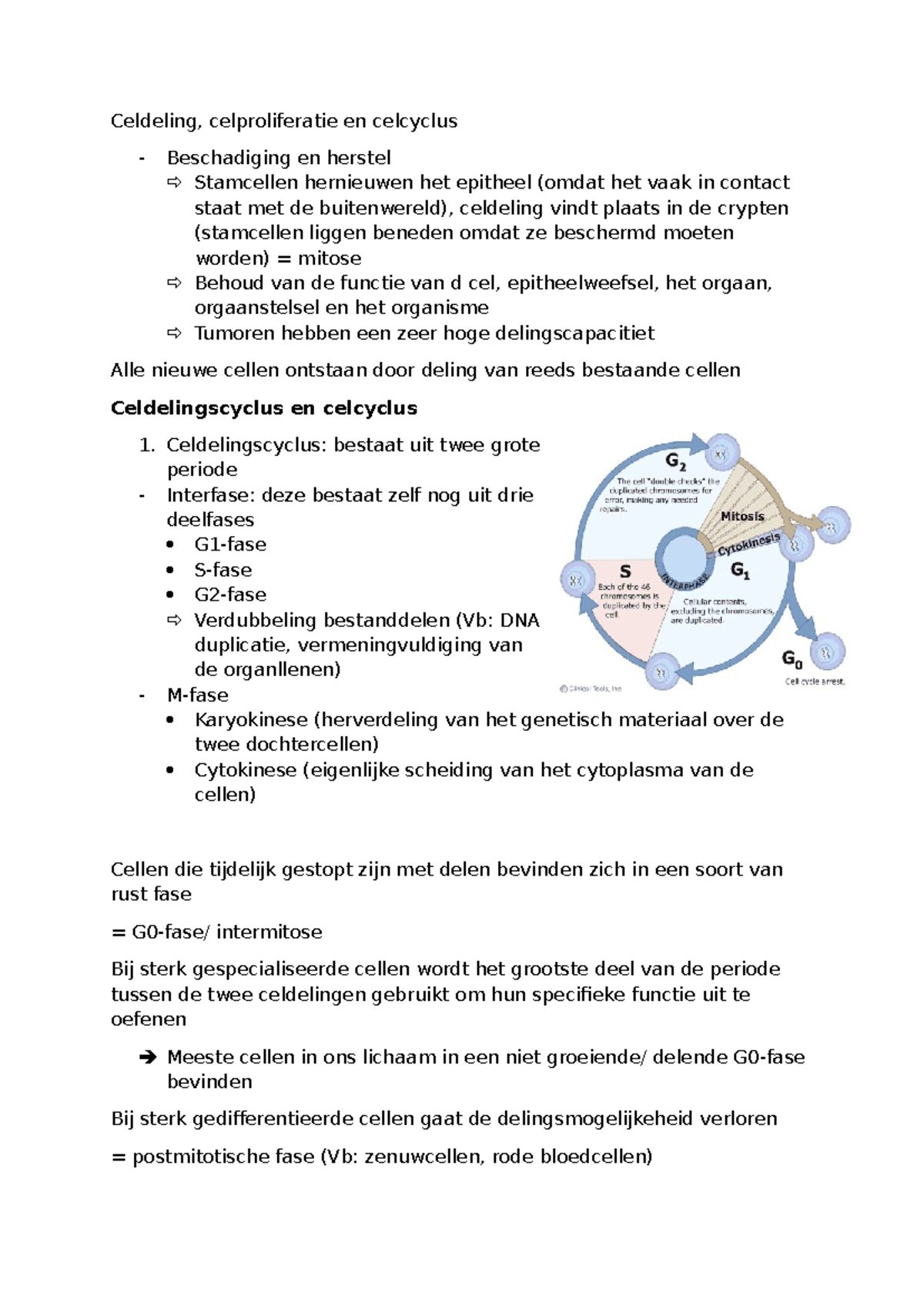 Celdeling en Celcyclus: Stamcellen en Tumoren (Biologie 101) - Studocu