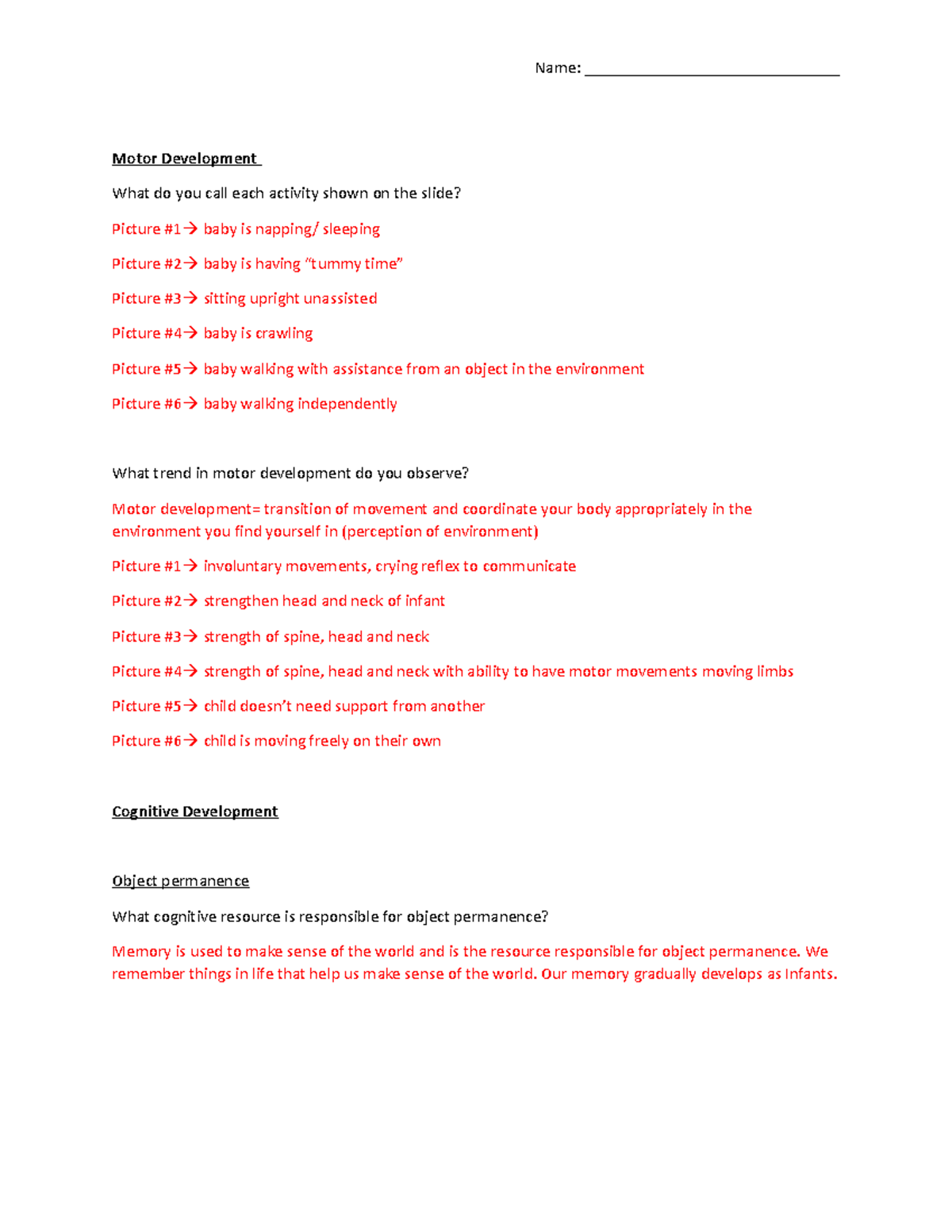 Worksheet - infant physical cognitive - Name ...