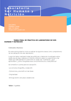 Fiber evidence worksheet (6) 1 - Fiber Analysis Worksheet Student Name ...