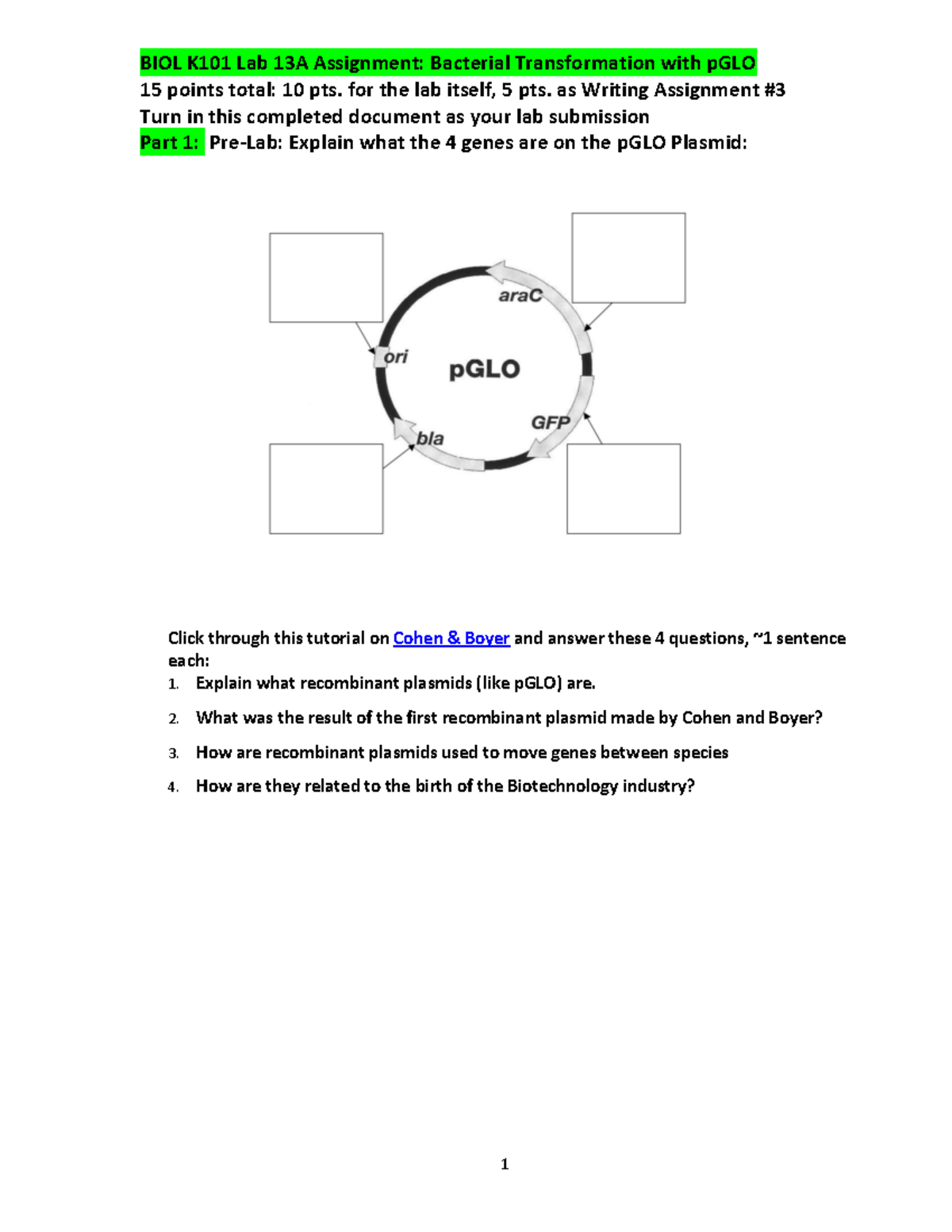BIOL K101 Lab 13A: Bacterial Transformation with pGLO Assignment - Studocu