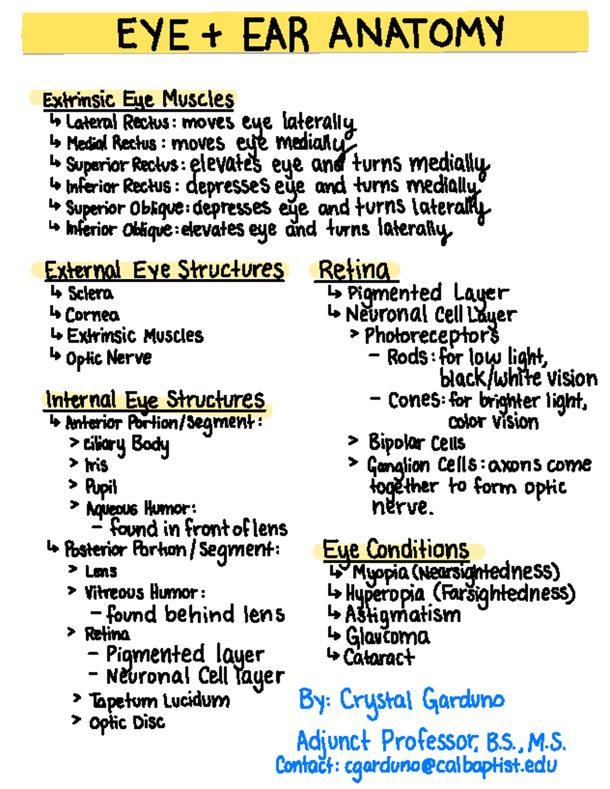 Eye Anatomy and Conditions: Dissection of Sheep Eye and Surgery ...