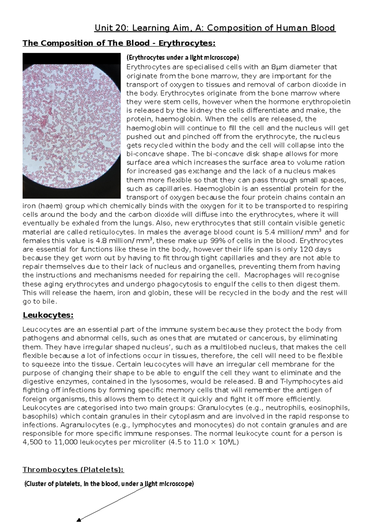 Unit 20 Blood: Composition, Functions, and Disorders Assignment - Studocu