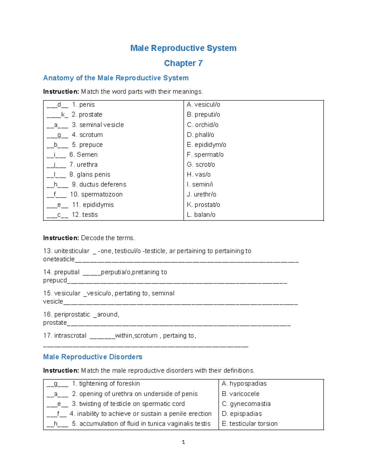 Chapter 7 & 8 Lecture Notes: Male & Female Reproductive Systems - Studocu
