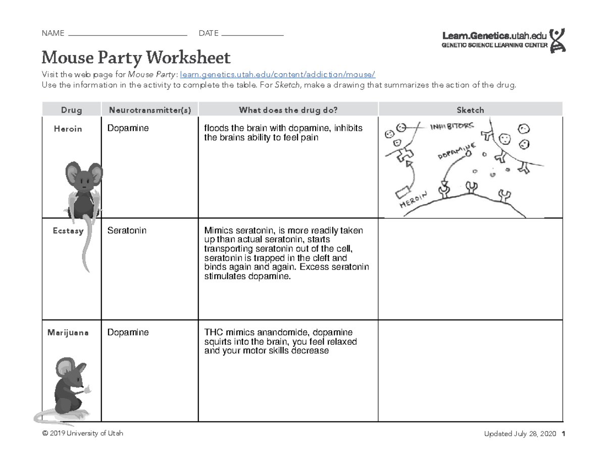 Mouse Party Worksheet: Understanding Drugs and Neurotransmitters - Studocu