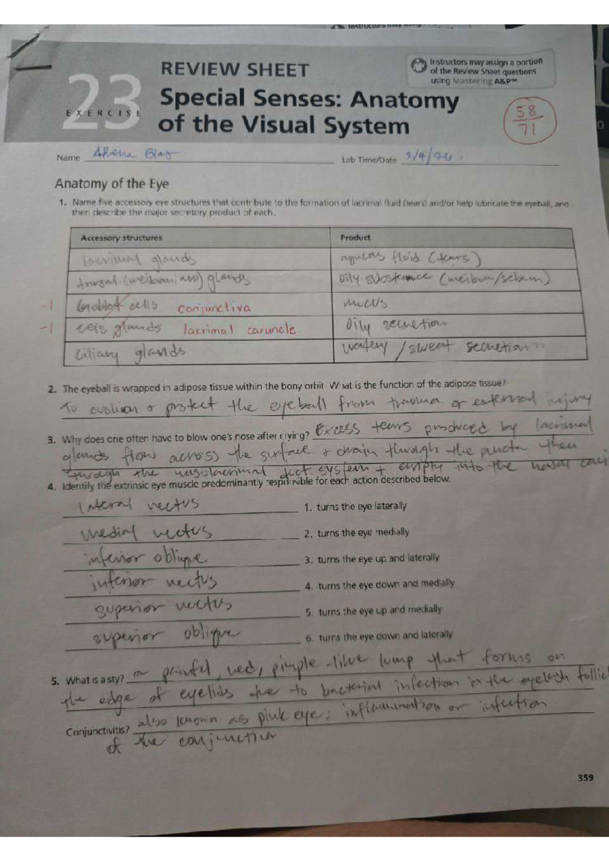 REVIEW SHEET: Special Senses - Anatomy of the Eye (Exercise 23) - Studocu
