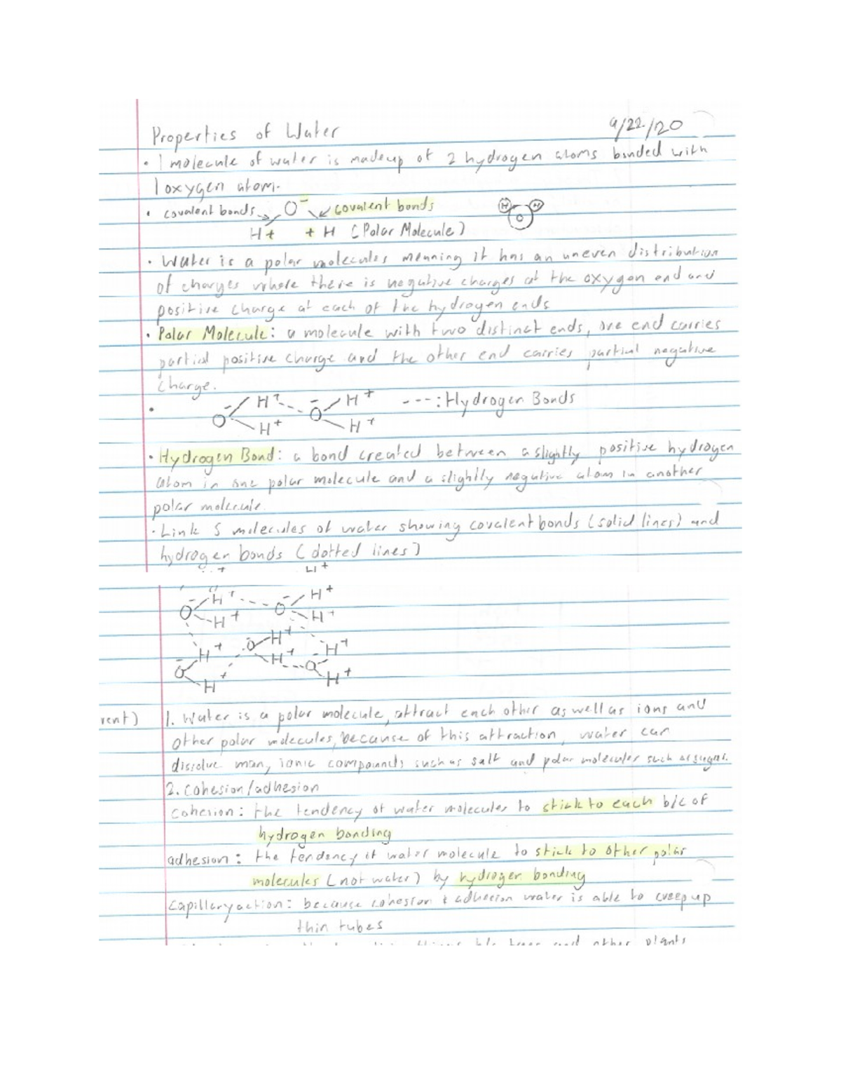 Final Exam Study Guide: Properties of Water (XYZ123) - Studocu