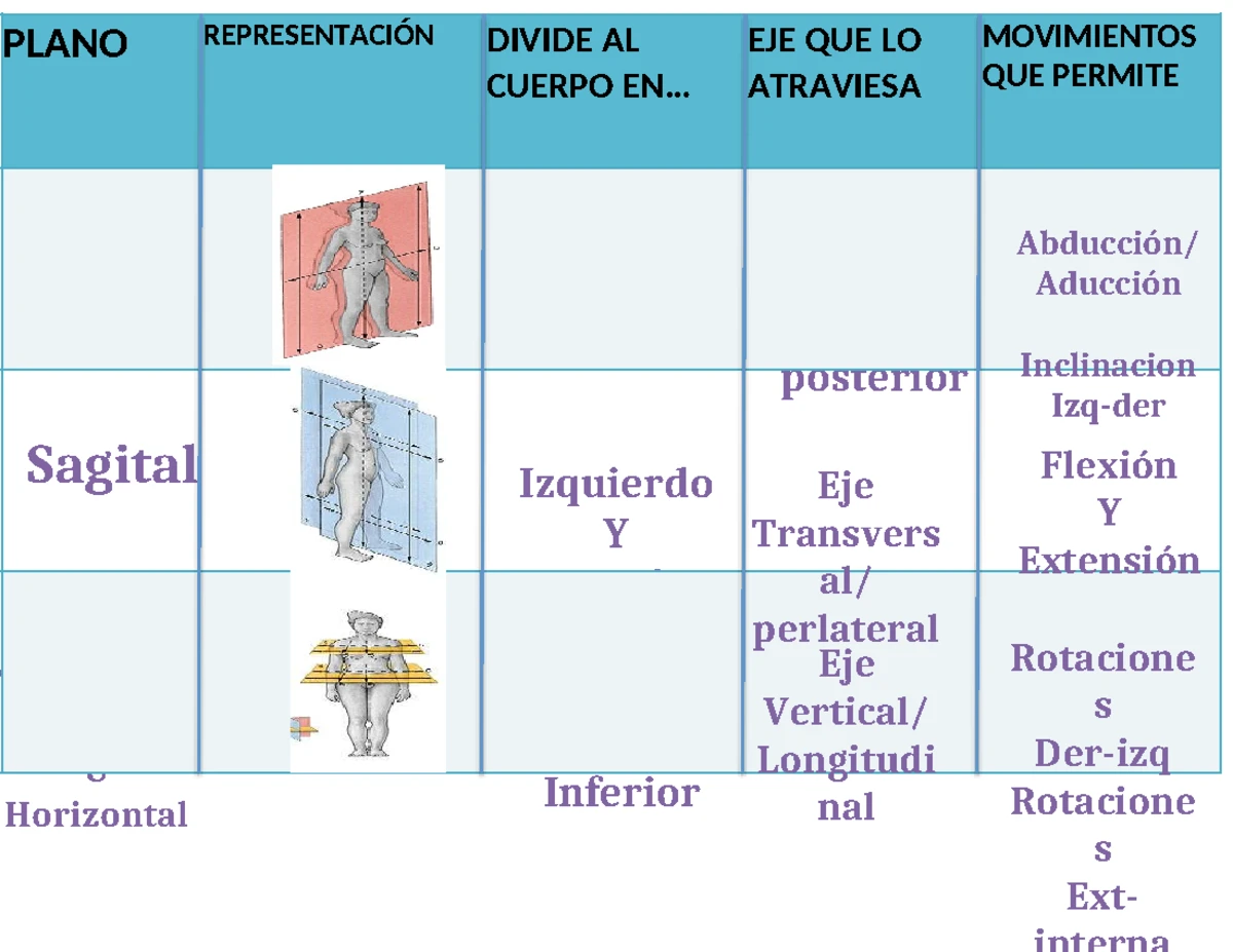 Articulaciones occipitoatlantoaxoidea - Atlantoaxoidea: El atlas y el axis están unidos: a) por ...