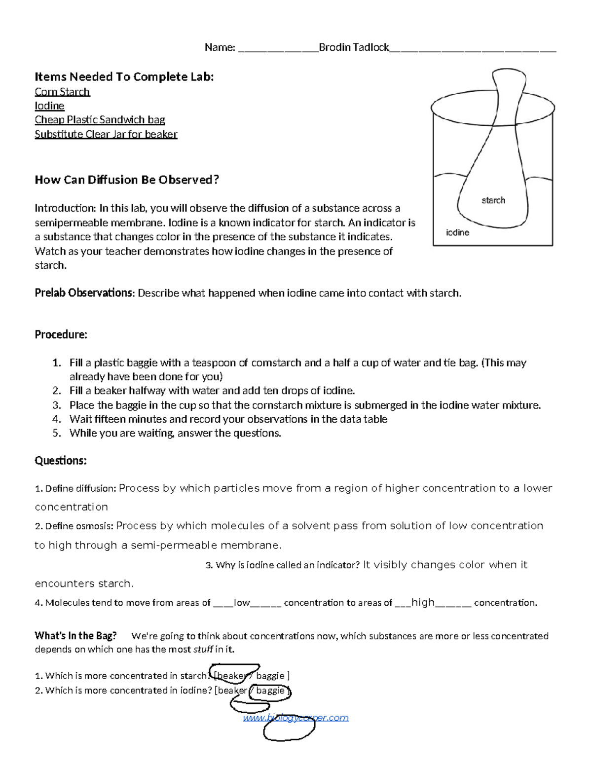 Osmosis Lab - Observing Diffusion with Iodine and Starch - Studocu