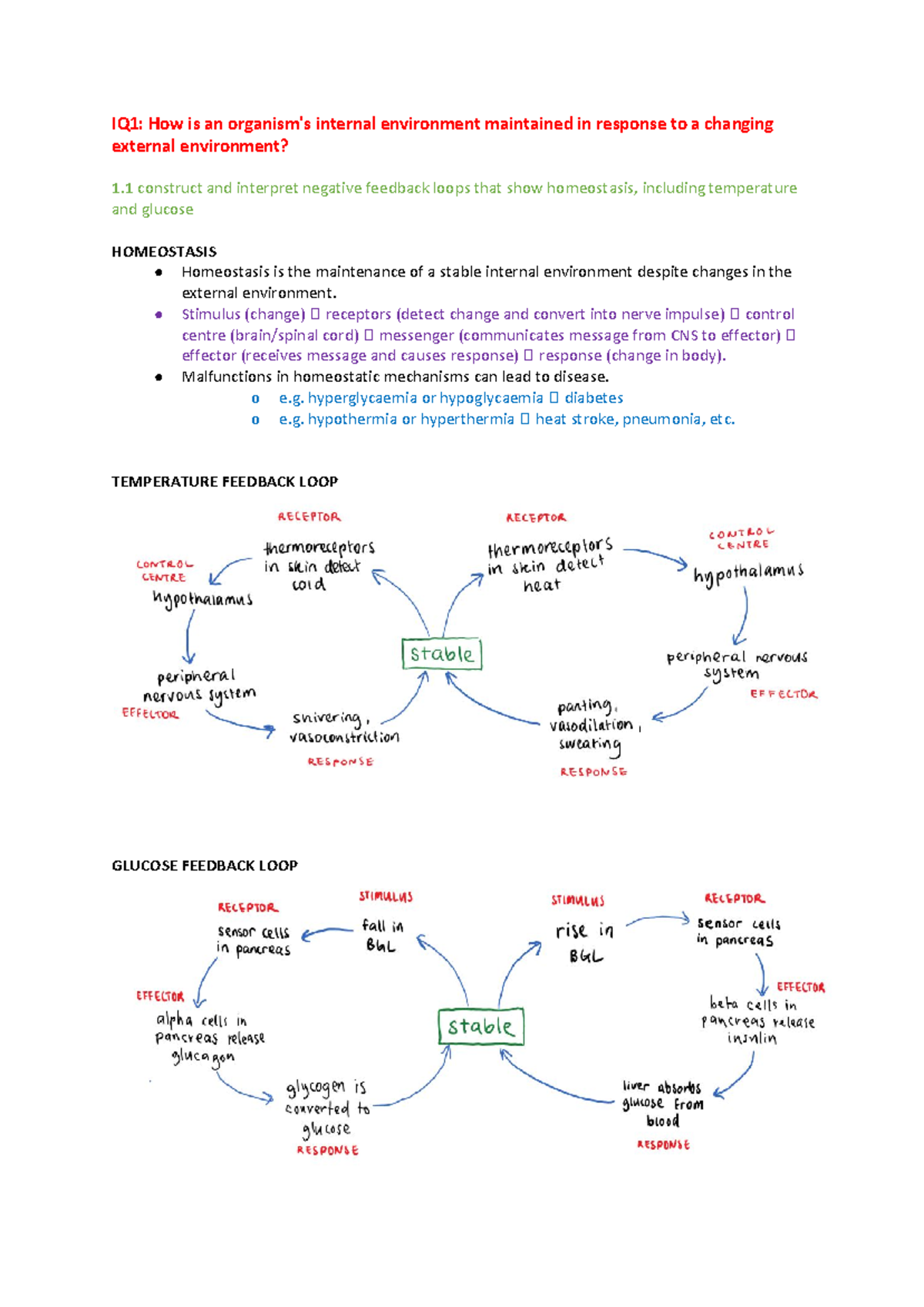 Module 8 Notes: Non-Infectious Diseases & Disorders Overview - Studocu