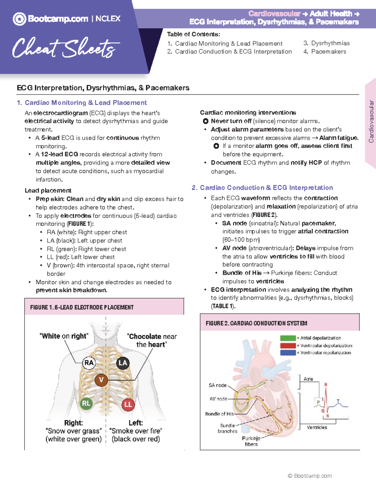 ECG Interpretation, Dysrhythmias, & Pacemakers Cheat Sheet (NURS 202 ...
