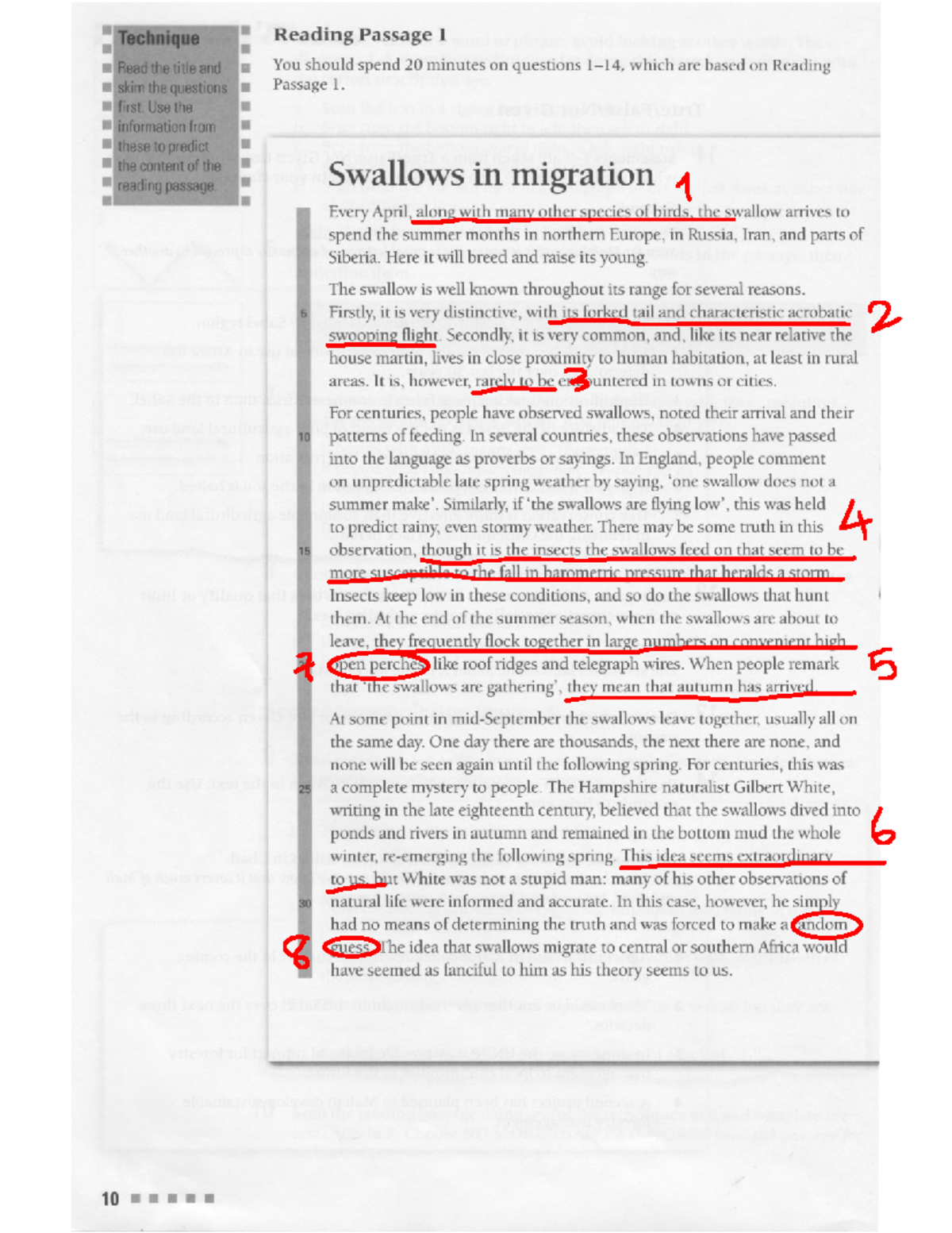 Cambridge Reading Passage 1: Swallows and Their Migration Patterns ...