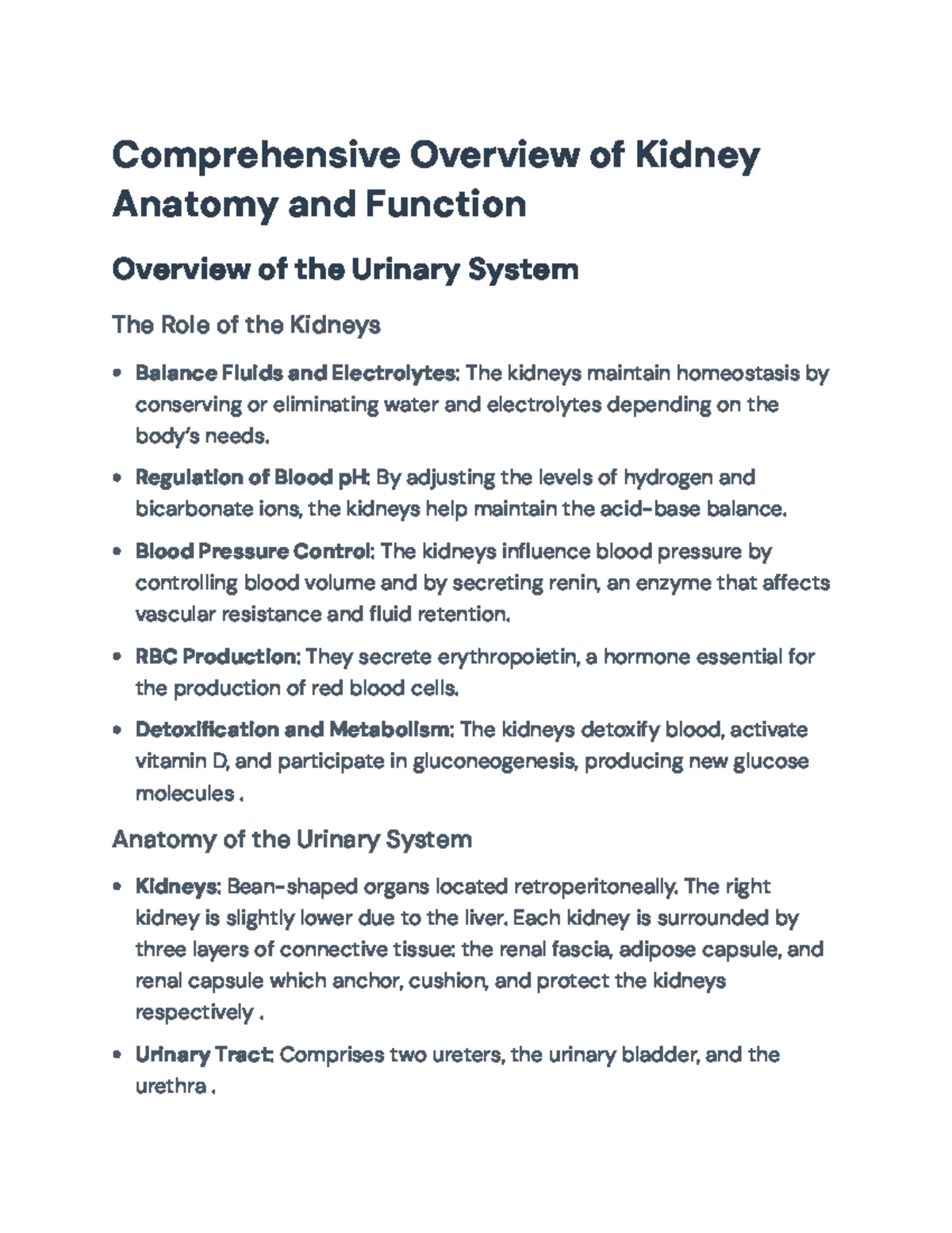 Comprehensive Overview of Kidney Anatomy and Urinary System Functions ...