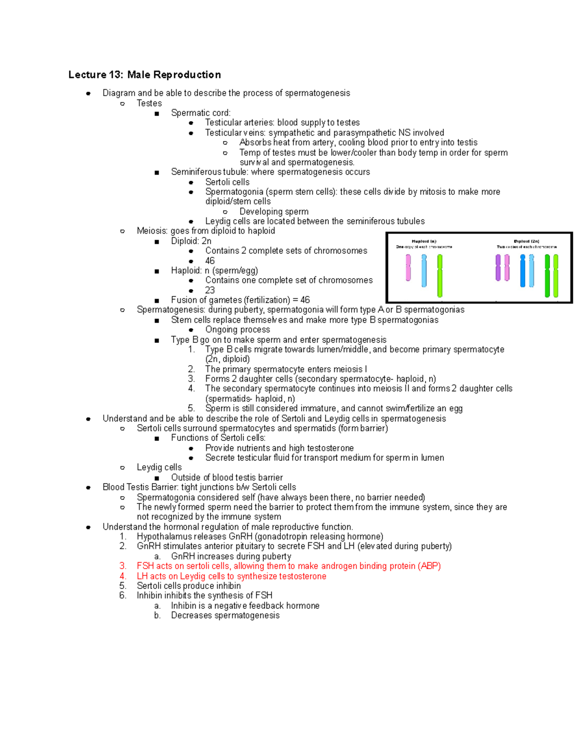 BIO 232 SG Lecture Notes: Male & Female Reproductive Systems - Studocu