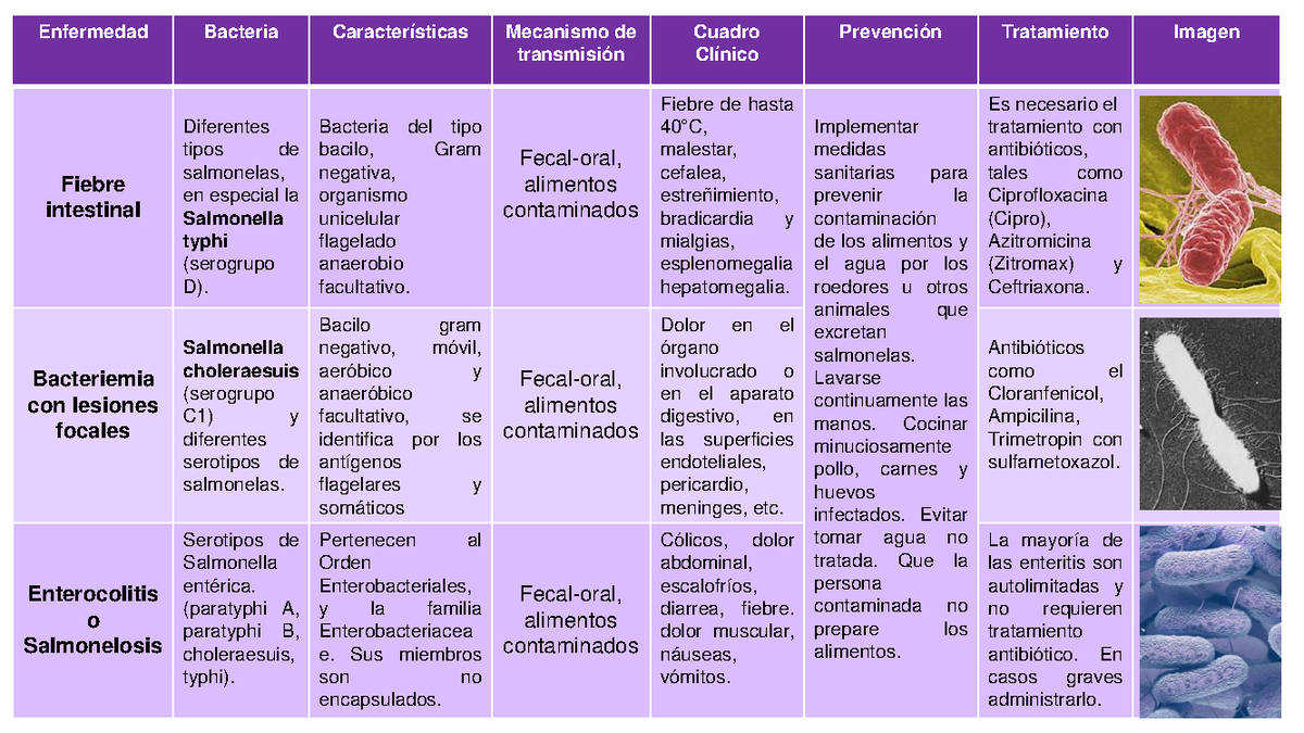 Salmonelosis 2.3 (pag 123-126) - Enfermedad Bacteria Características ...