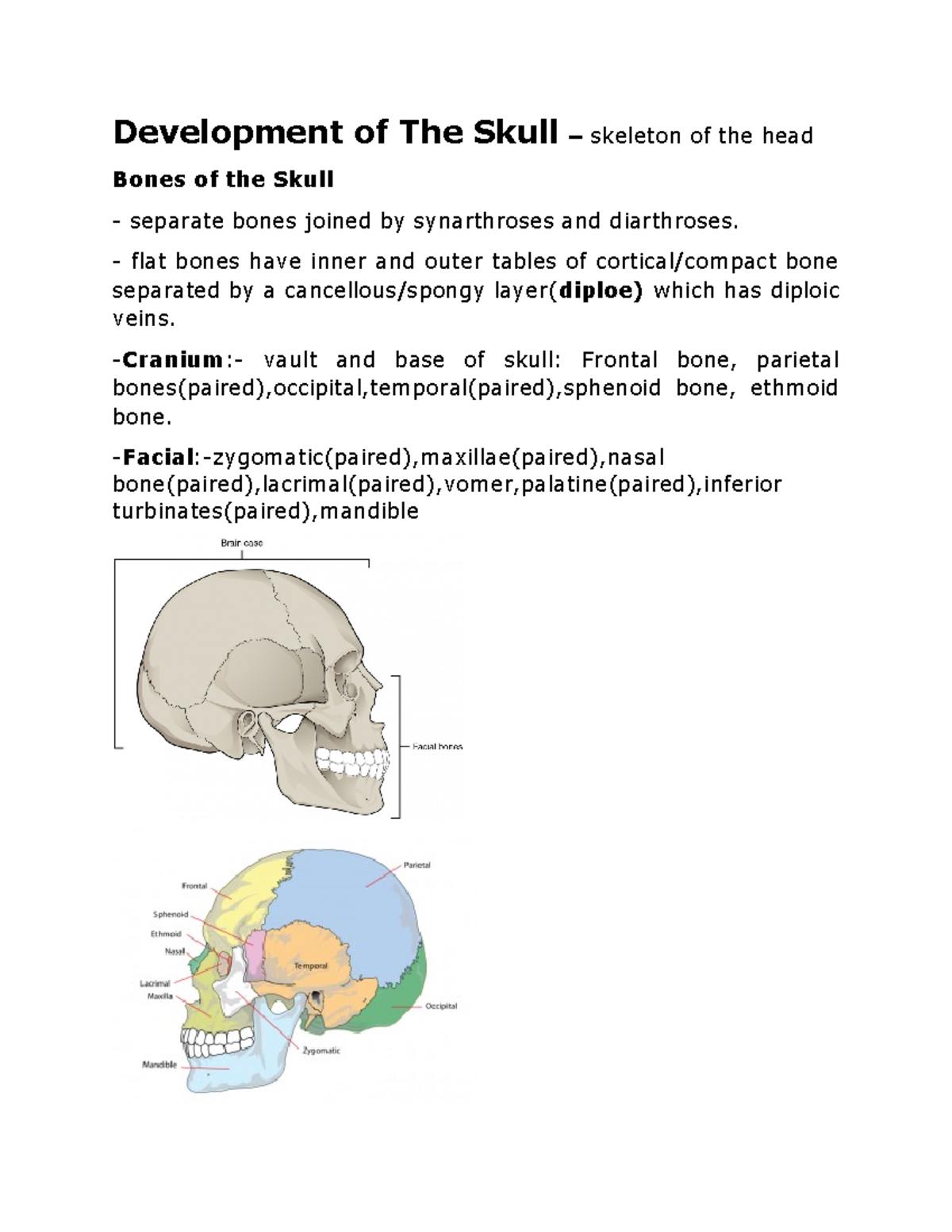Ppt Skull 11 - Development and Formation of the Skull - Studocu