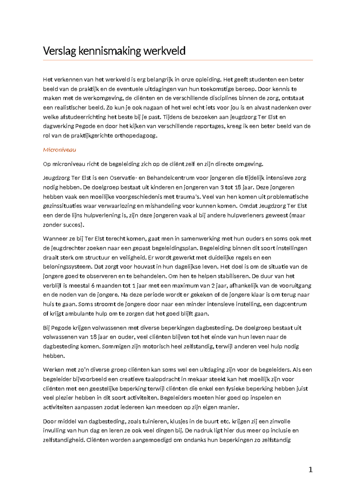 Verslag kennismaking werkveld Es-Sbai Assya: Verkenning & Reflectie ...