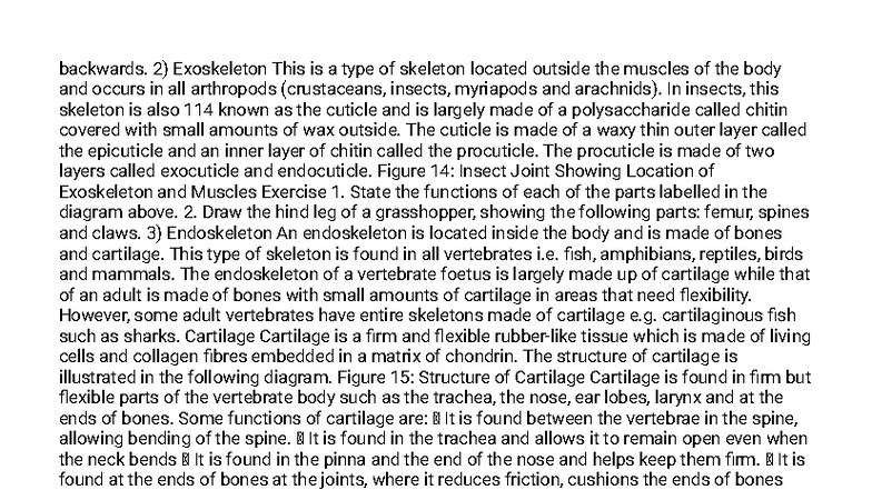 Biology IN Conjunction-41: Exoskeletons and Endoskeletons Explained - Studocu
