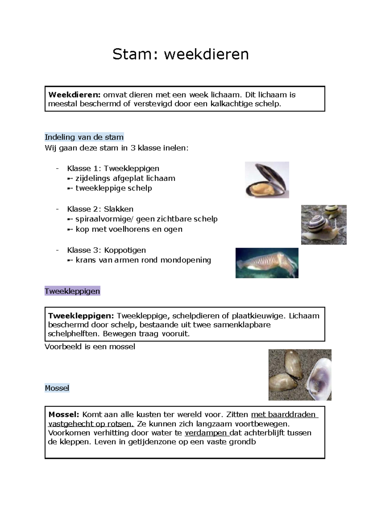 Stam: Weekdieren - Indeling en Kenmerken van Tweekleppigen, Slakken en ...