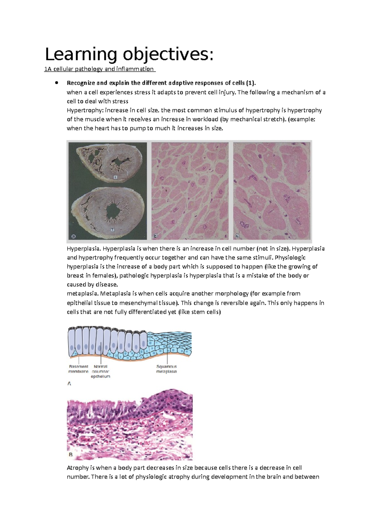 Learning Objectives for Pathology: Cell Injury and Inflammation (1A ...