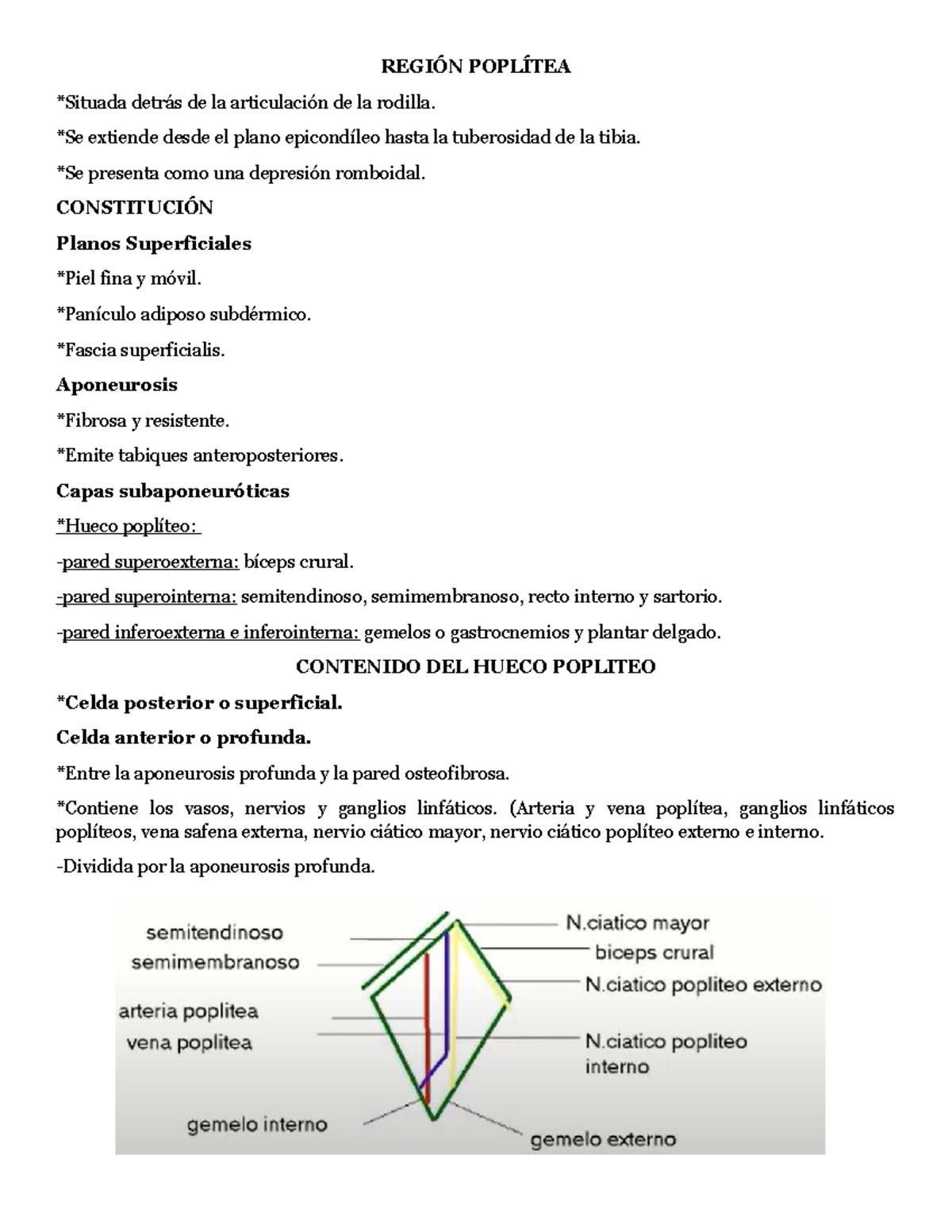 4- Región Poplítea: Anatomía y Estructura del Hueco Poplíteo - Studocu