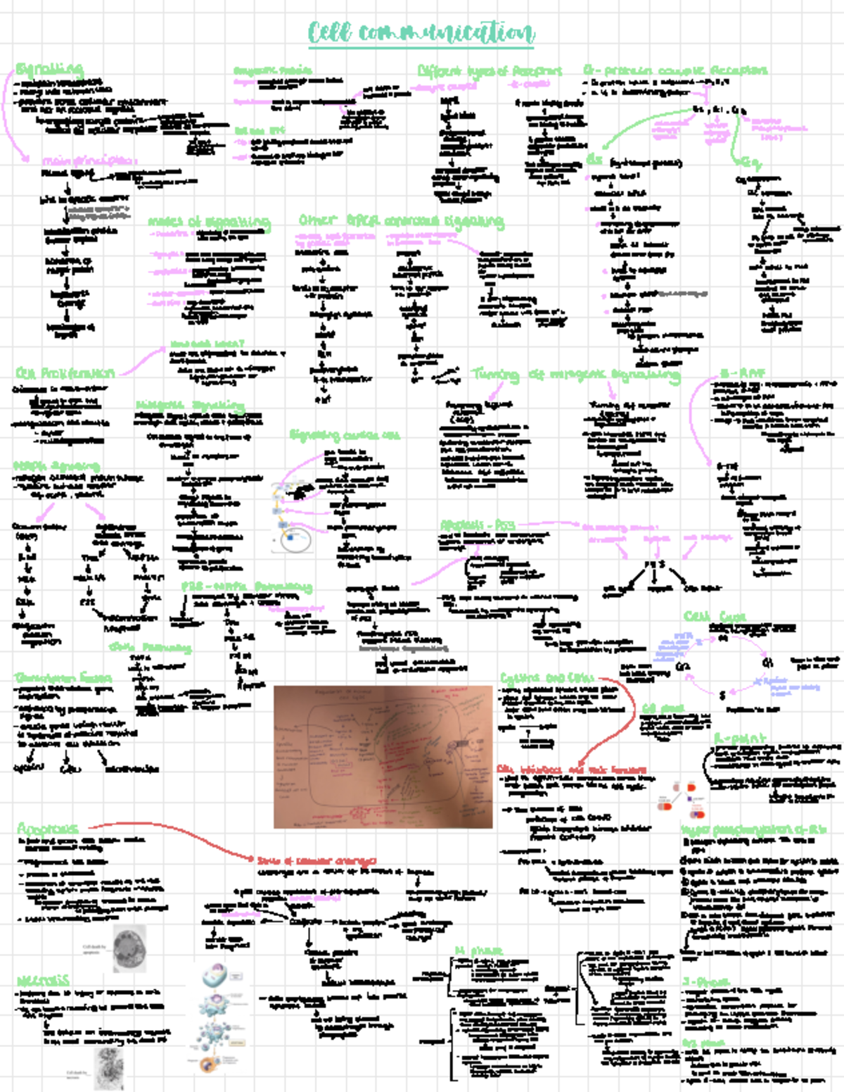 Cell communication - How cells communicate and signalling pathways ...