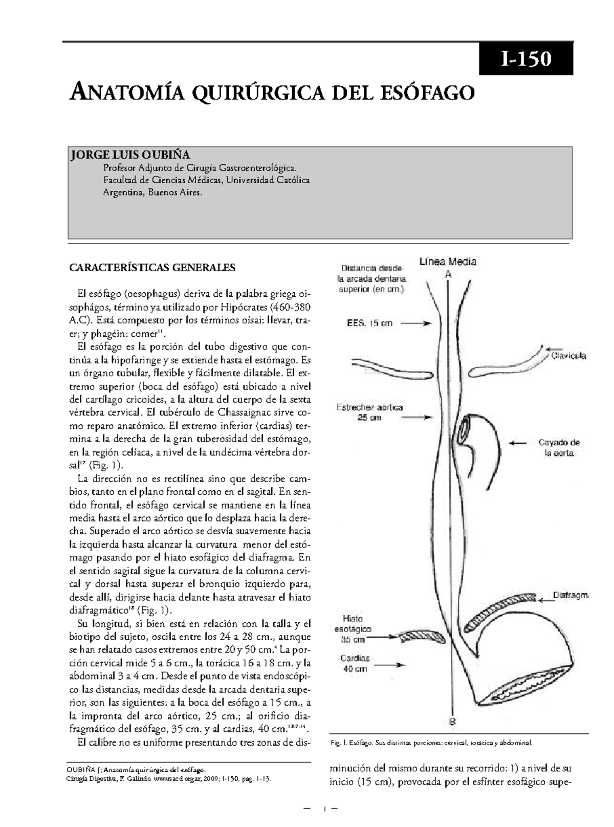 Anatomía Quirúrgica del Esofago: Generalidades y Estructura - Studocu