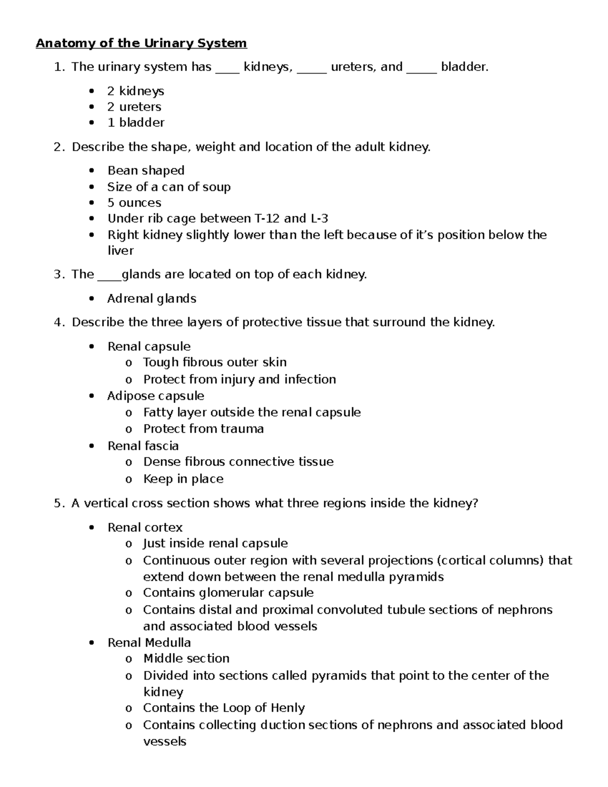 AP 2 Module 7: Comprehensive Overview of the Urinary System - Studocu
