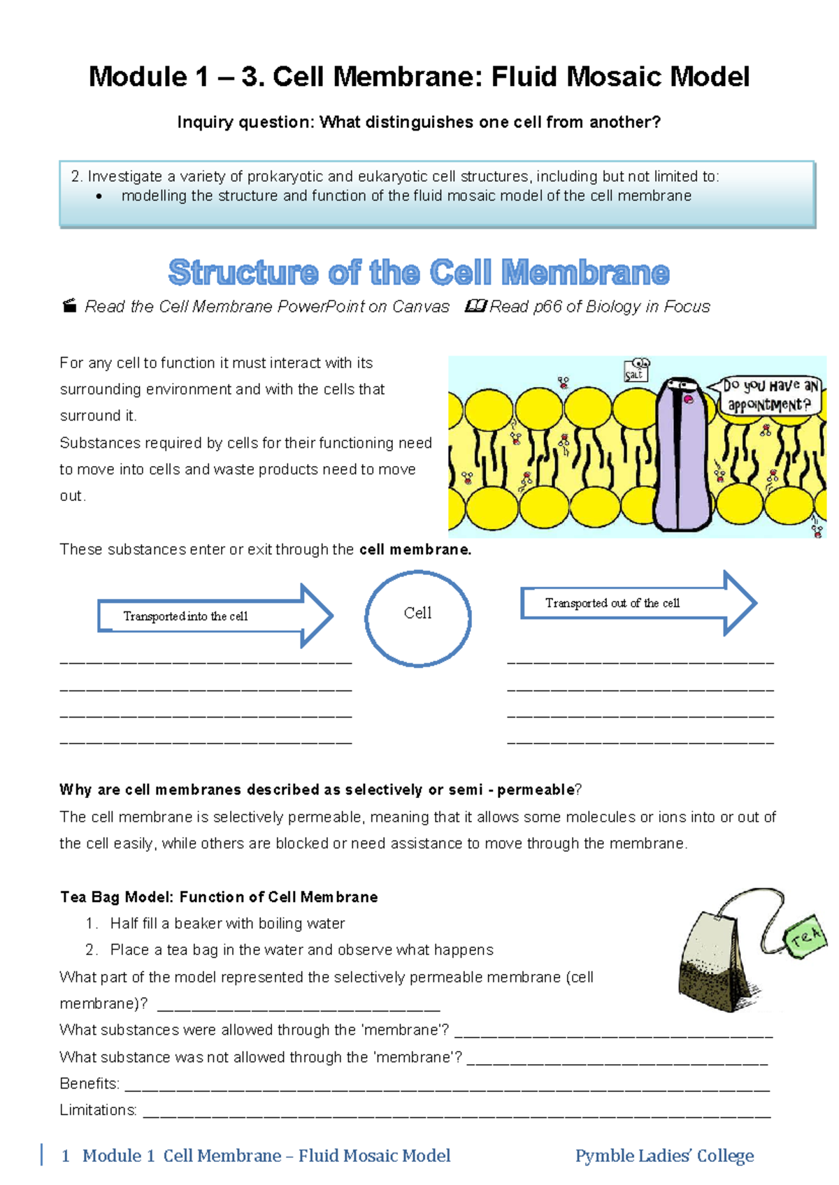 Module 1: Cell Membrane – Fluid Mosaic Model - Studocu