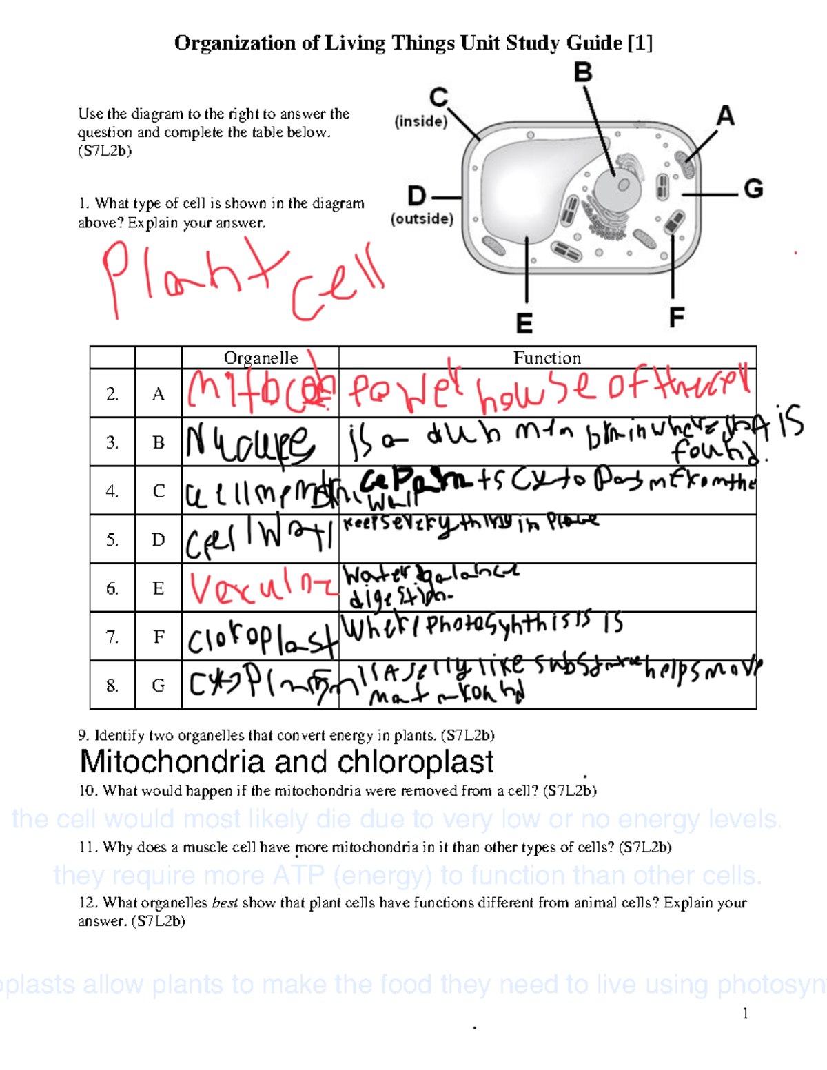 Cell Structure & Function Study Guide (S7L2) - Studocu
