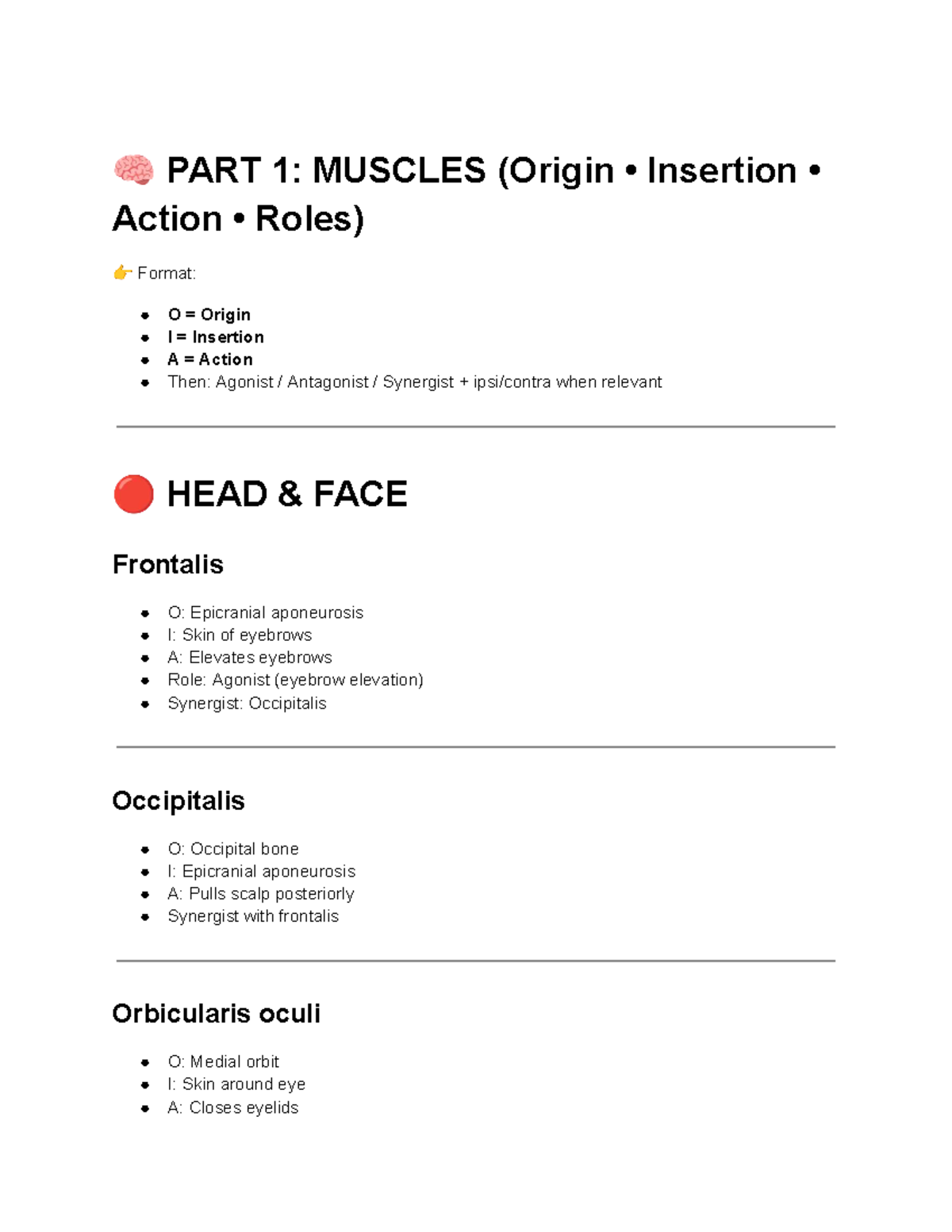 Muscle Anatomy and Brain Functions Study Guide - Studocu