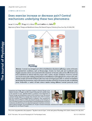 Aspetar Hamstring Protocol: Assessment & Exercises for Rehab - Studocu