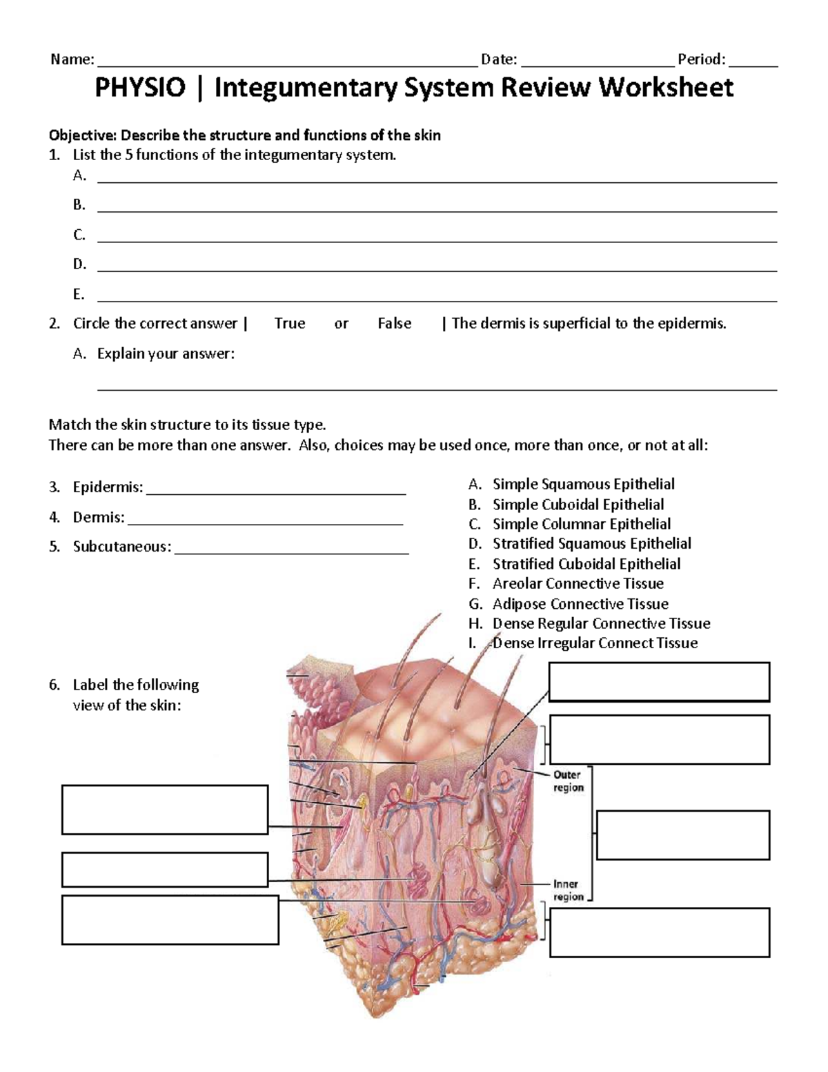 PHYSIO Integumentary System Study Guide and Review Worksheet - Studocu