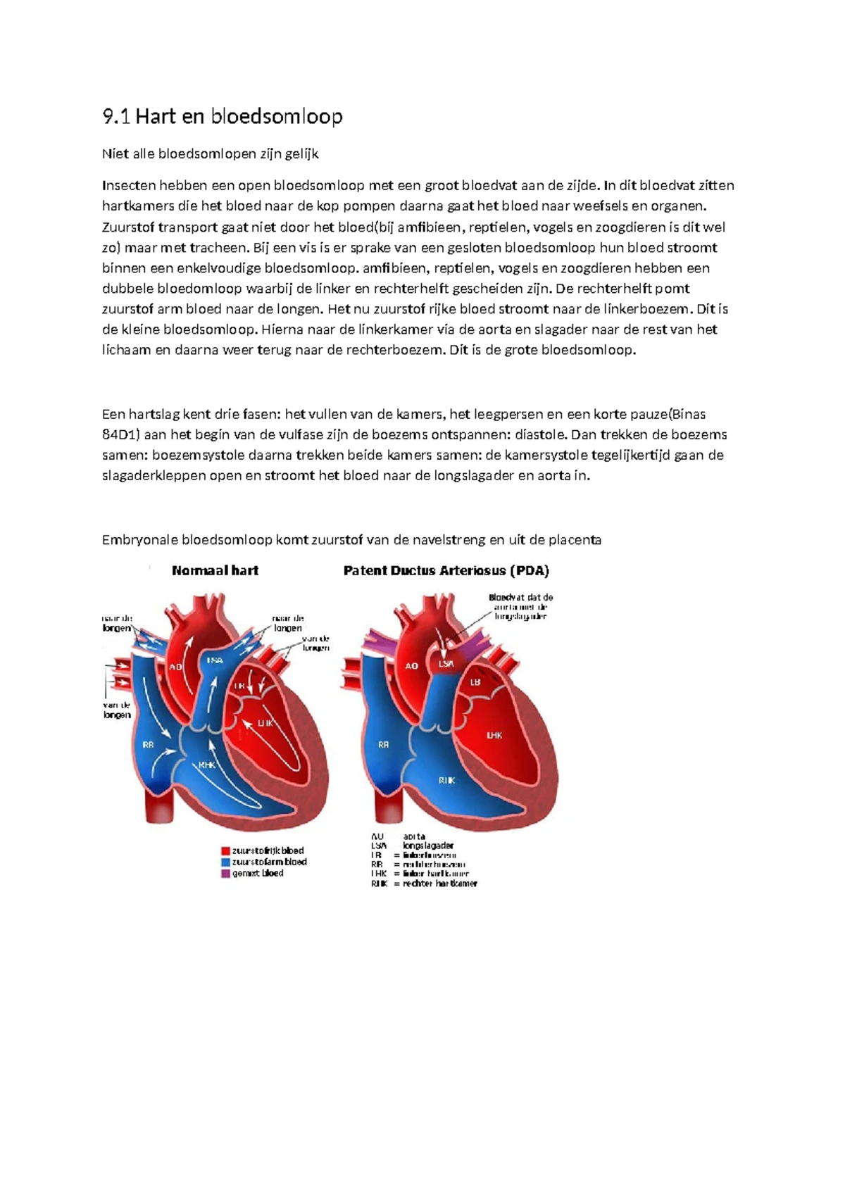 Biologie H4.2: Vorming van Geslachtscellen en Meiose Proces - Studeersnel