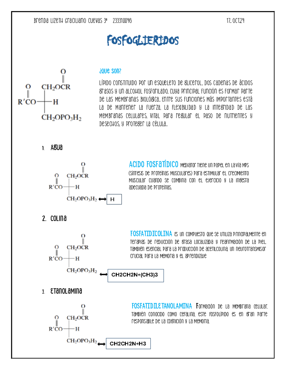 Fosfogliceridos: Estructura y Funciones en las Membranas Celulares ...