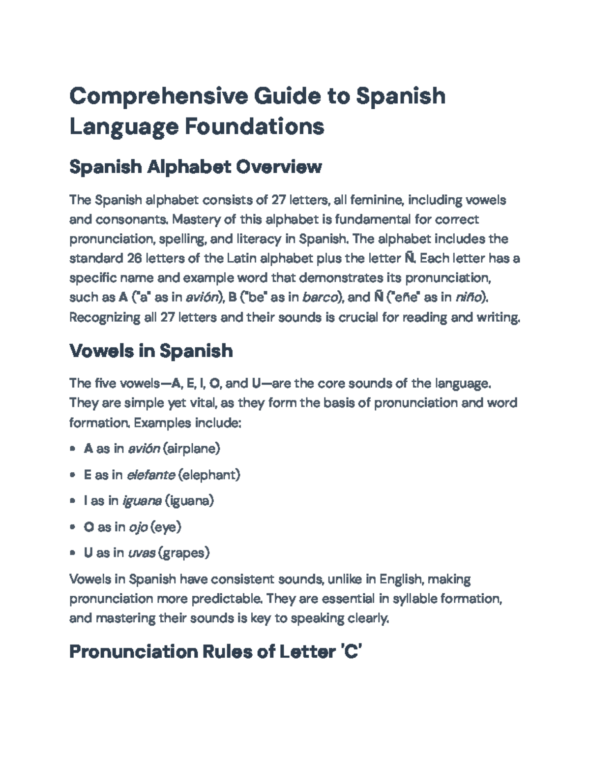 Comprehensive Spanish Language Guide: Grammar, Vocabulary & Practice ...