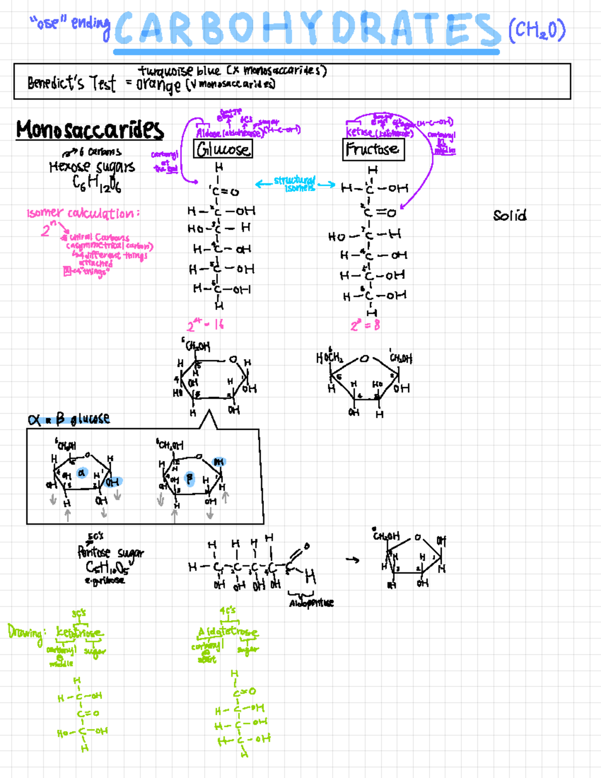 Biochemistry Notes on Macromolecules (Carbs, Lipids, Proteins) - Studocu