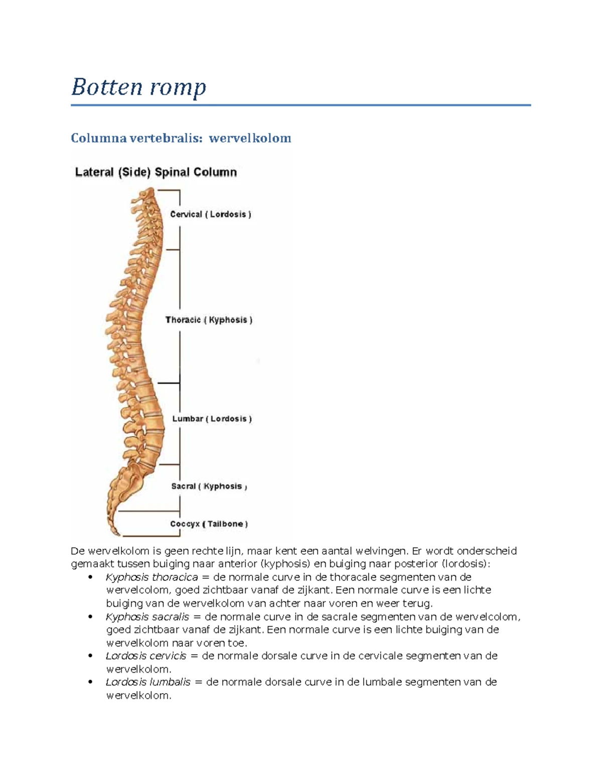 Anatomie arm venen arterien zenuwen - Zenuwen: Naam Verloop Palpatie ...